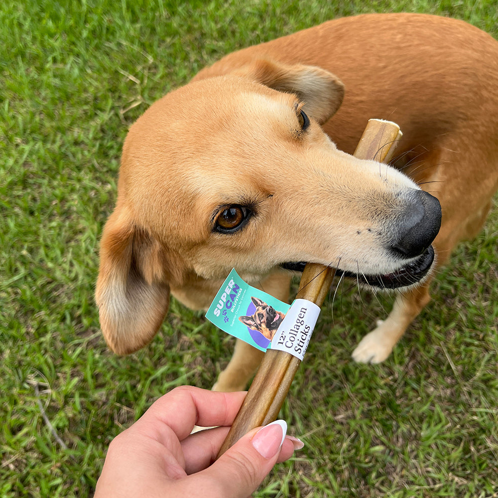 SuperCan Bully Sticks
